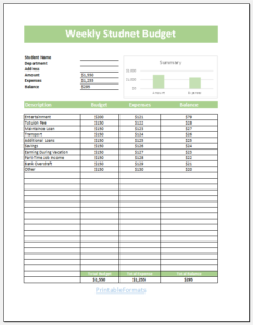 Student Budget Templates - Printable Formats - [Download 10 Templates]