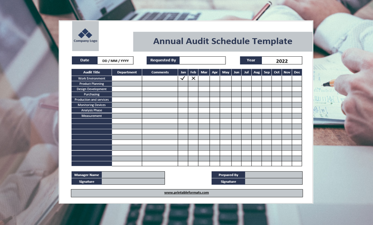 Annual Audit Schedule Templates Printable Formats